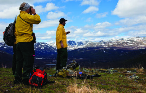 Career Options for Nature and Wildlife Enthusiasts - Grit